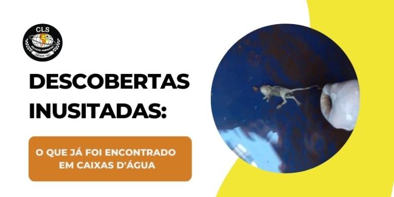 Descobertas Inusitadas: O que Já foi Encontrado em Caixas d'Água - Blog ...